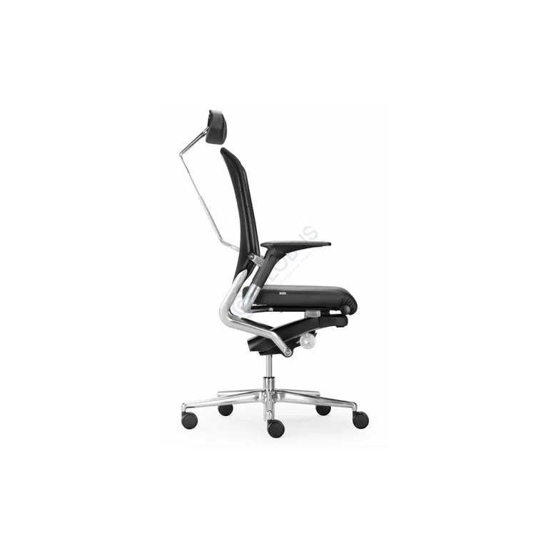 Business chairs | Globus Furniture from China